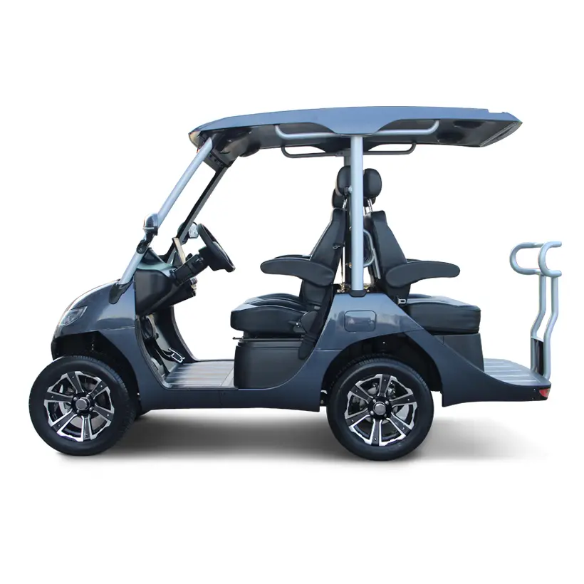 Electric Buggies – Electric Buggy Company